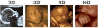 Life Scan Studio - The SA Family Directory